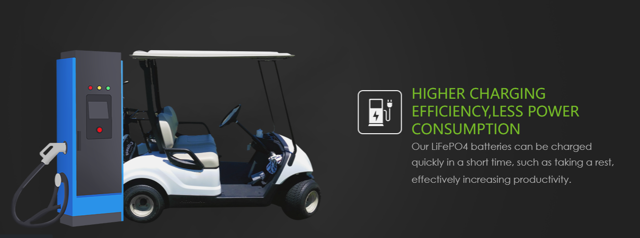 Roy Pow 48 Volt 160 Amp Hour Lithium Golf Cart Battery | 51.2V | 160Ah ...